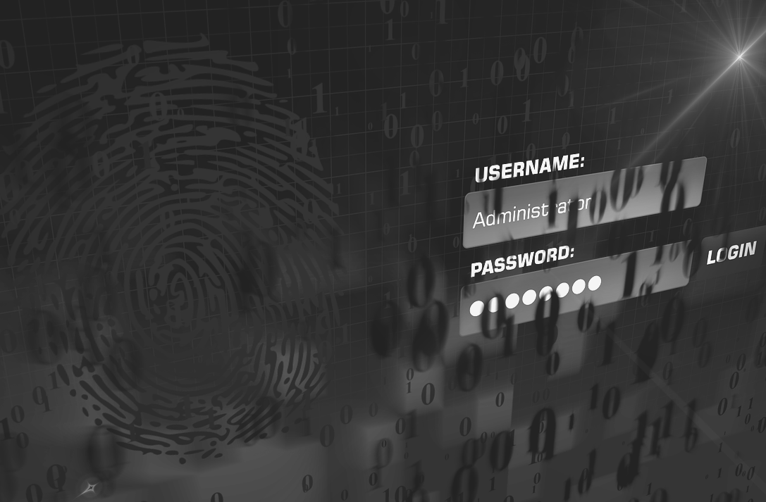 SAP Identity Management - Winterhawk
