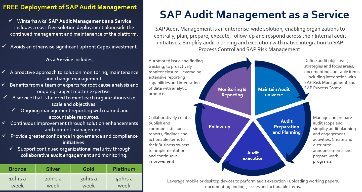 SAP Audit Management - Winterhawk